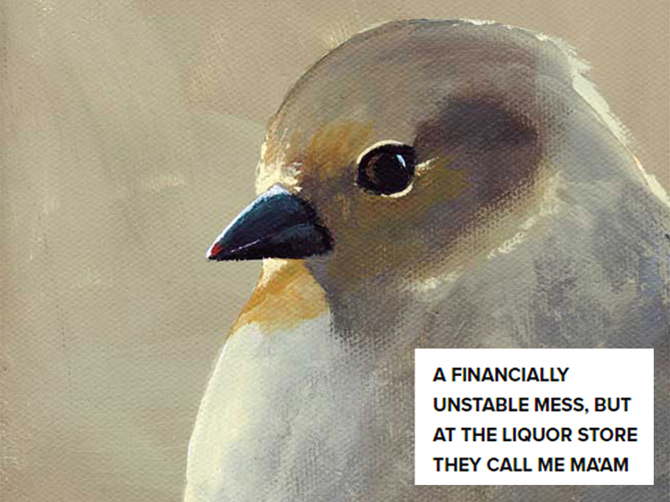 Artist Creates Amazing Bird Art With Names So Good They Make Us Worry ...