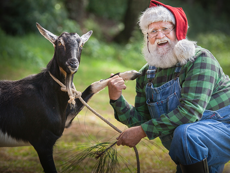 All The Burning Questions You Have For Vegans At Christmas Because You ...