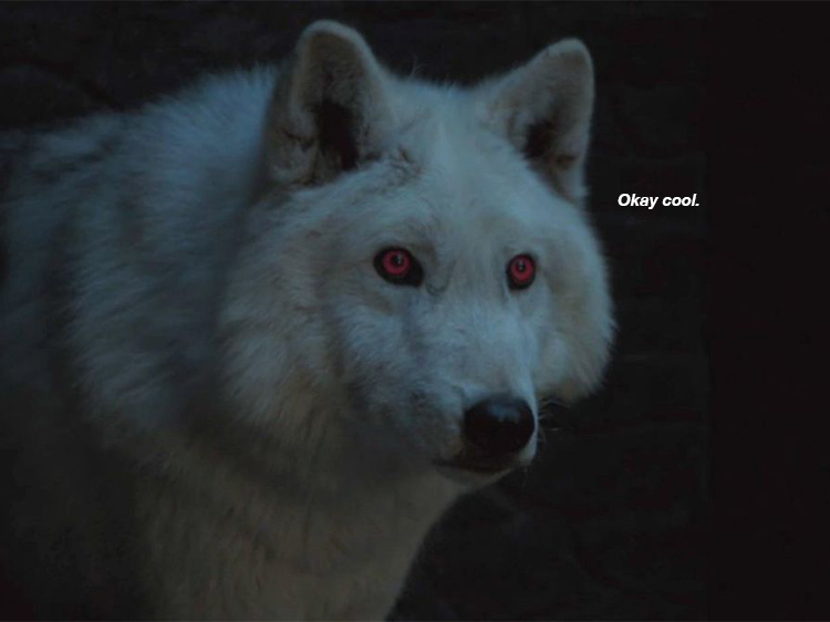 Game Of Thrones' Reason For Why Jon Snow Didn't Farewell Ghost Is Weak