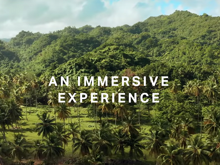 Fyre Festival Was Such A Nightmare Netflix Made A Horror Show About It