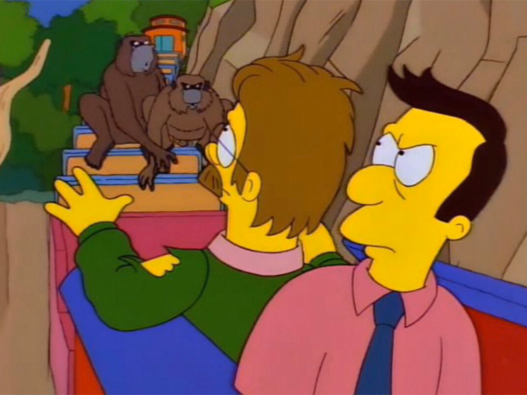 Great Animal Escapes, From Sydney Baboons To Wedding Crashing Lions